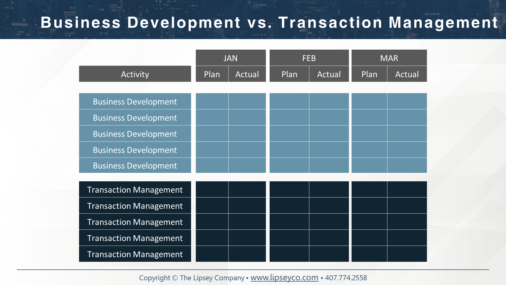 Bus Dev vs Trans Man - The Lipsey Company